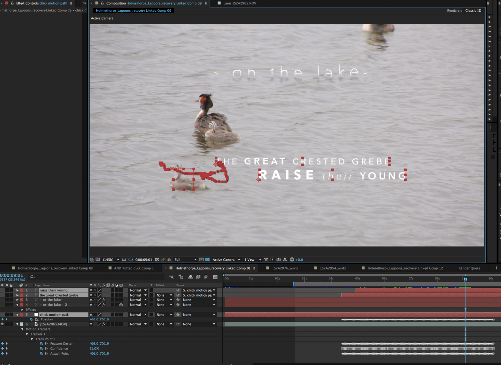 Using Motion Tracking In Video Square Daisy